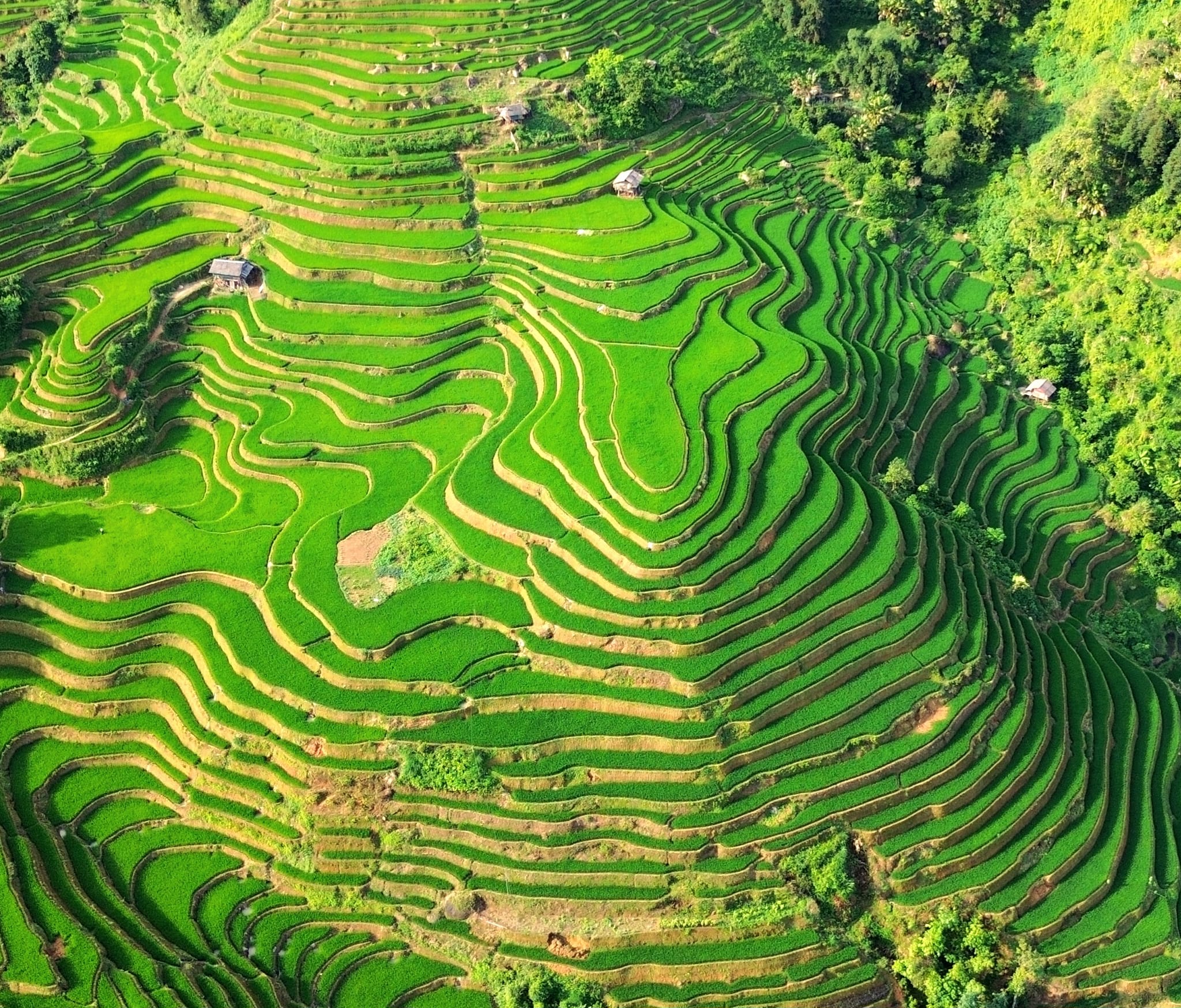 Ha Giang Loop Tours - Hai Dang Travel - More than a journey